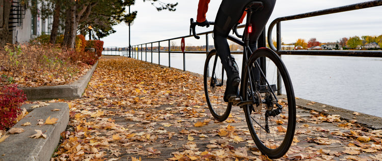 Specialized – The New Touring Cyclist
